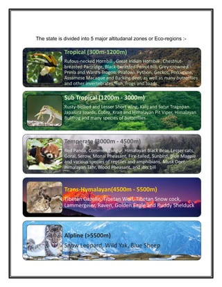 Wildlife in Sikkim | DOCX