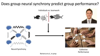The neuroscience of social learning: Brain-to-Brain Synchrony in Groups ...