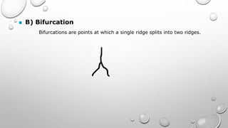 2019001791_Fingerprint_Authentication.pptx