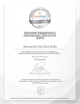 DEVOPS ESSENTIALS PROFESSIONAL CERTIFICATE | PDF