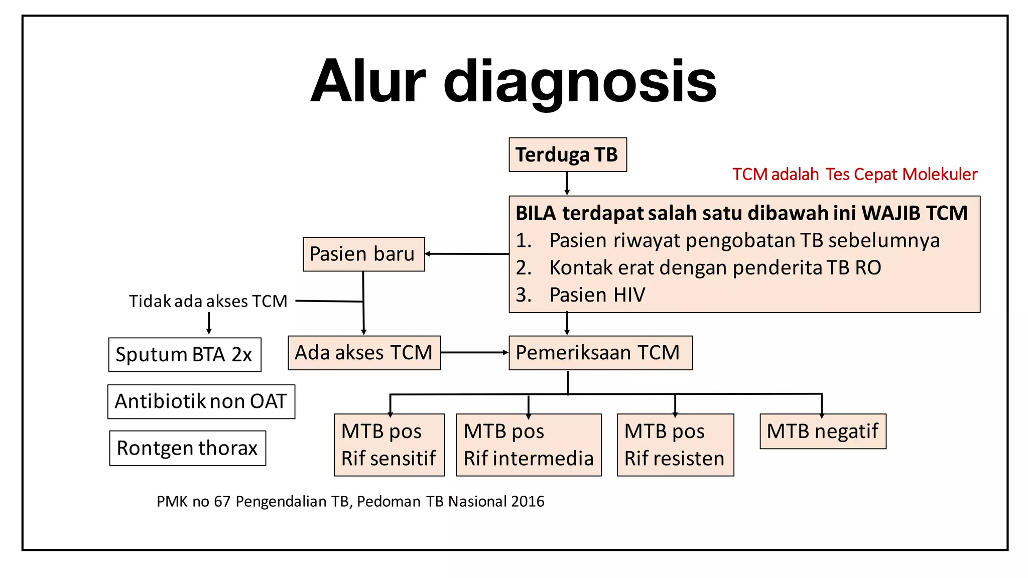Diagnosis dan Tatalaksana TB Sensitif Obat | PDF