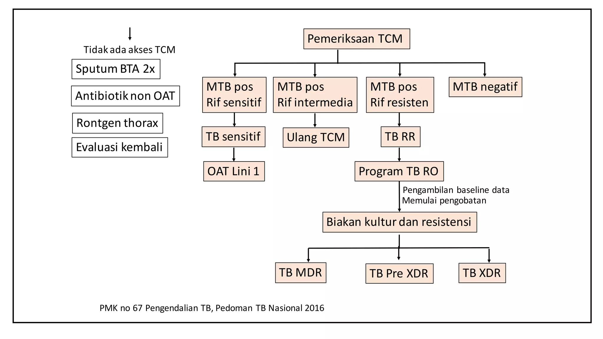 Diagnosis dan Tatalaksana TB Sensitif Obat | PDF