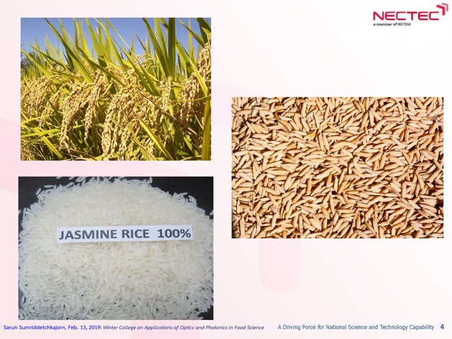 Remote sensing and optical imaging/sensing -- applications on rice -- | PPT