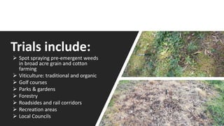 Introducing Nontox, the safer weed control herbicide | PDF