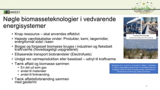 Electrification - A Future Without Biomass by Brian Vad Mathiesen | PPTX