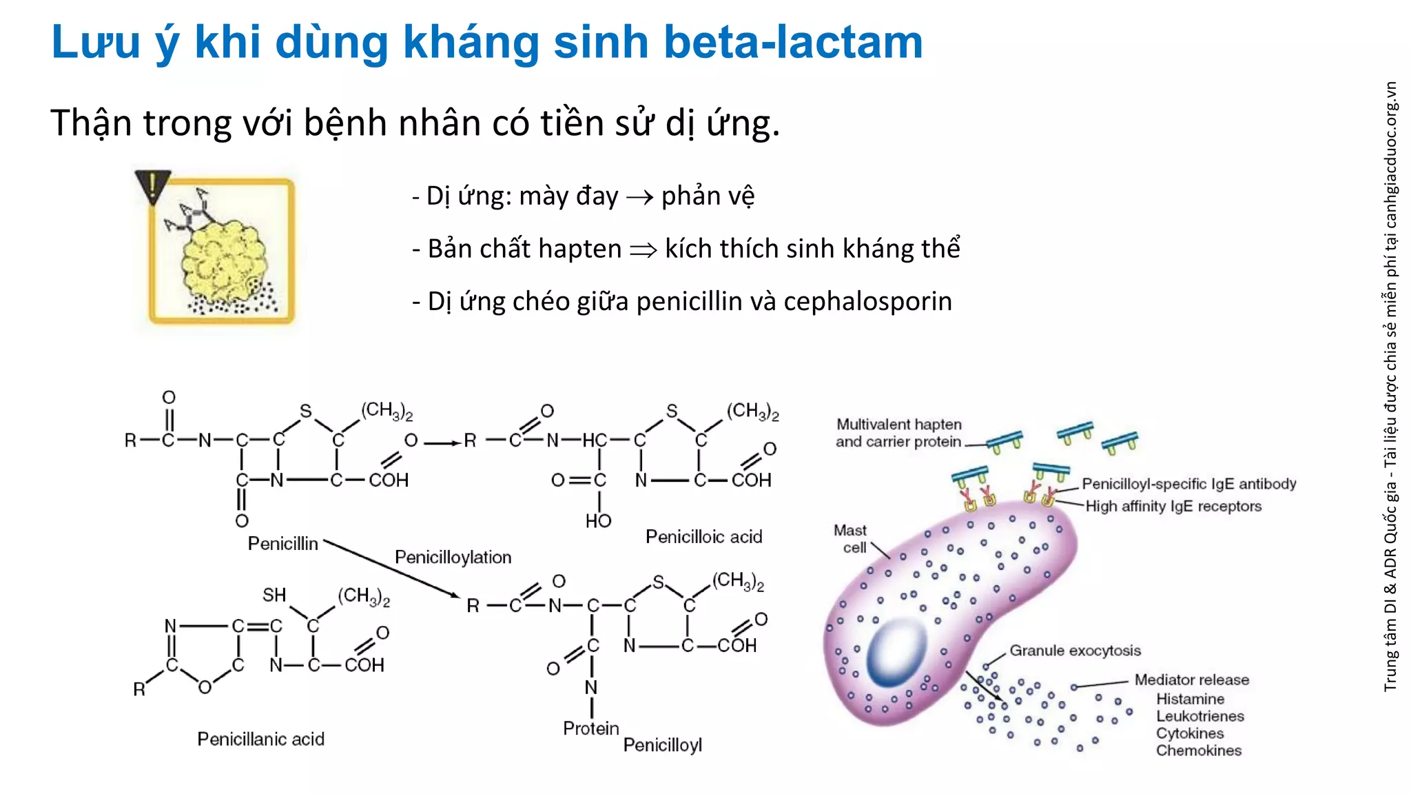 su dung khang sinh hop ly trong dieu tri nhiem khuan cong dong gsk ...