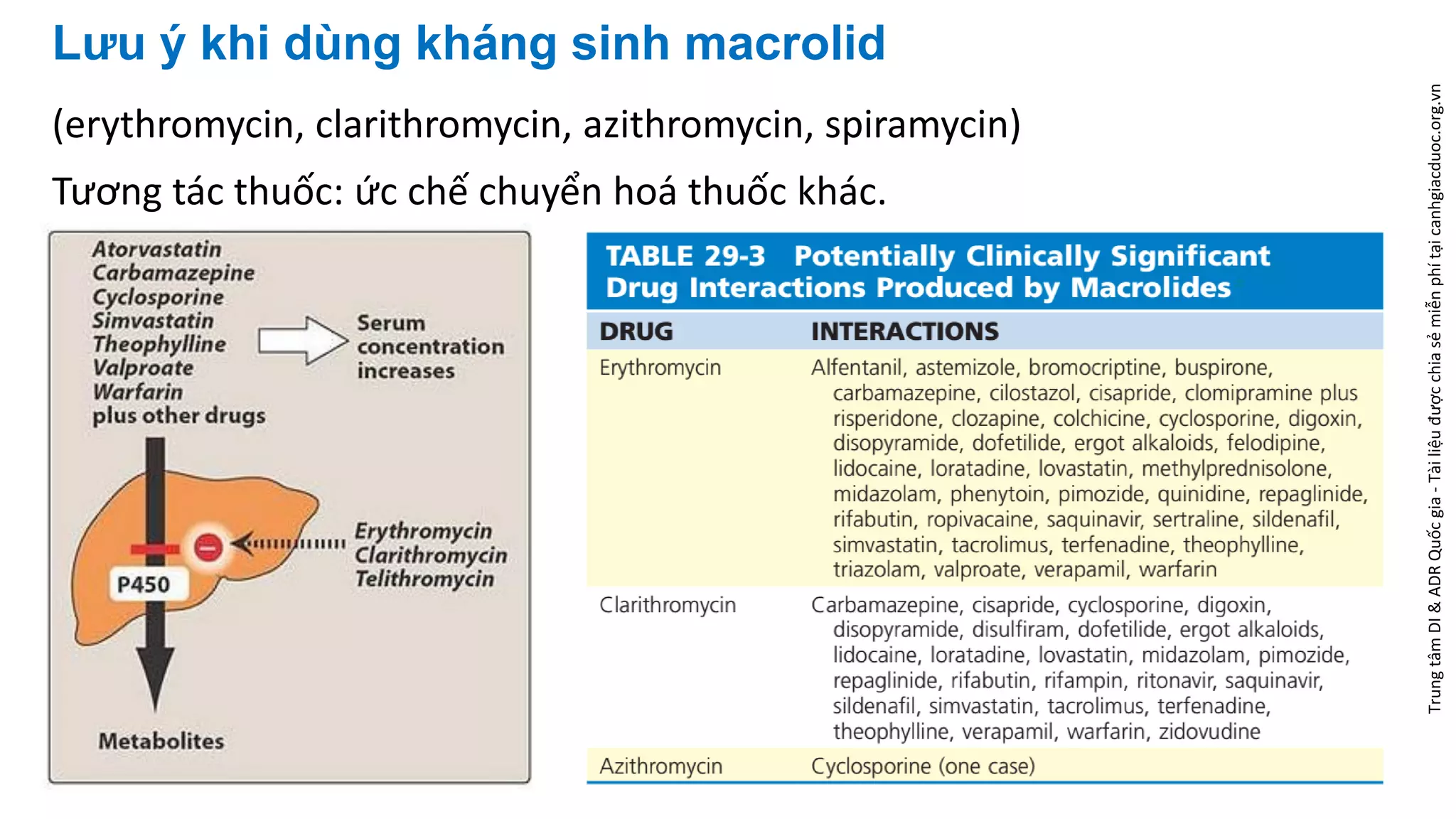 su dung khang sinh hop ly trong dieu tri nhiem khuan cong dong gsk ...