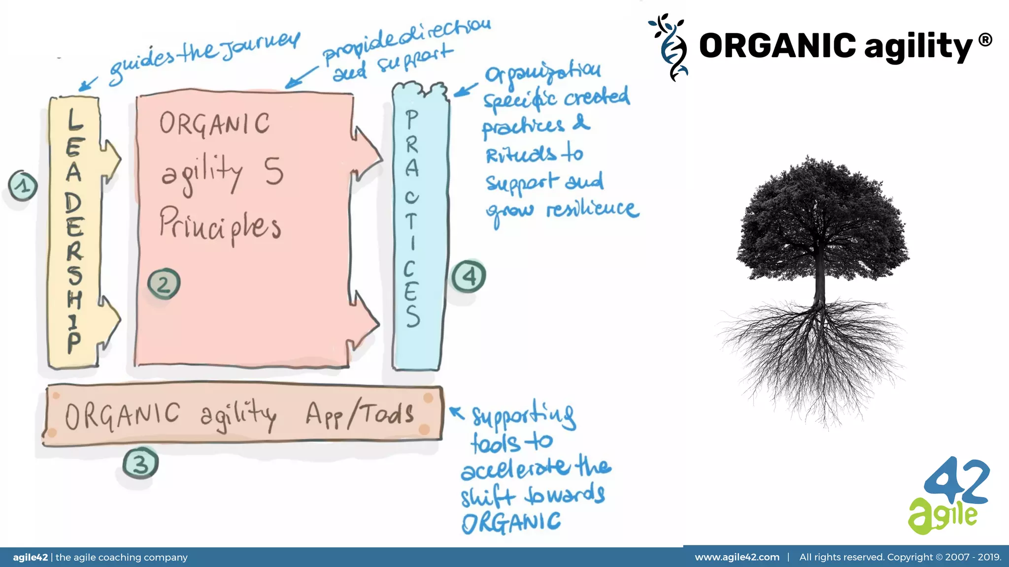 ORGANIC agility - beyond the mass production of agile at scale | PPT
