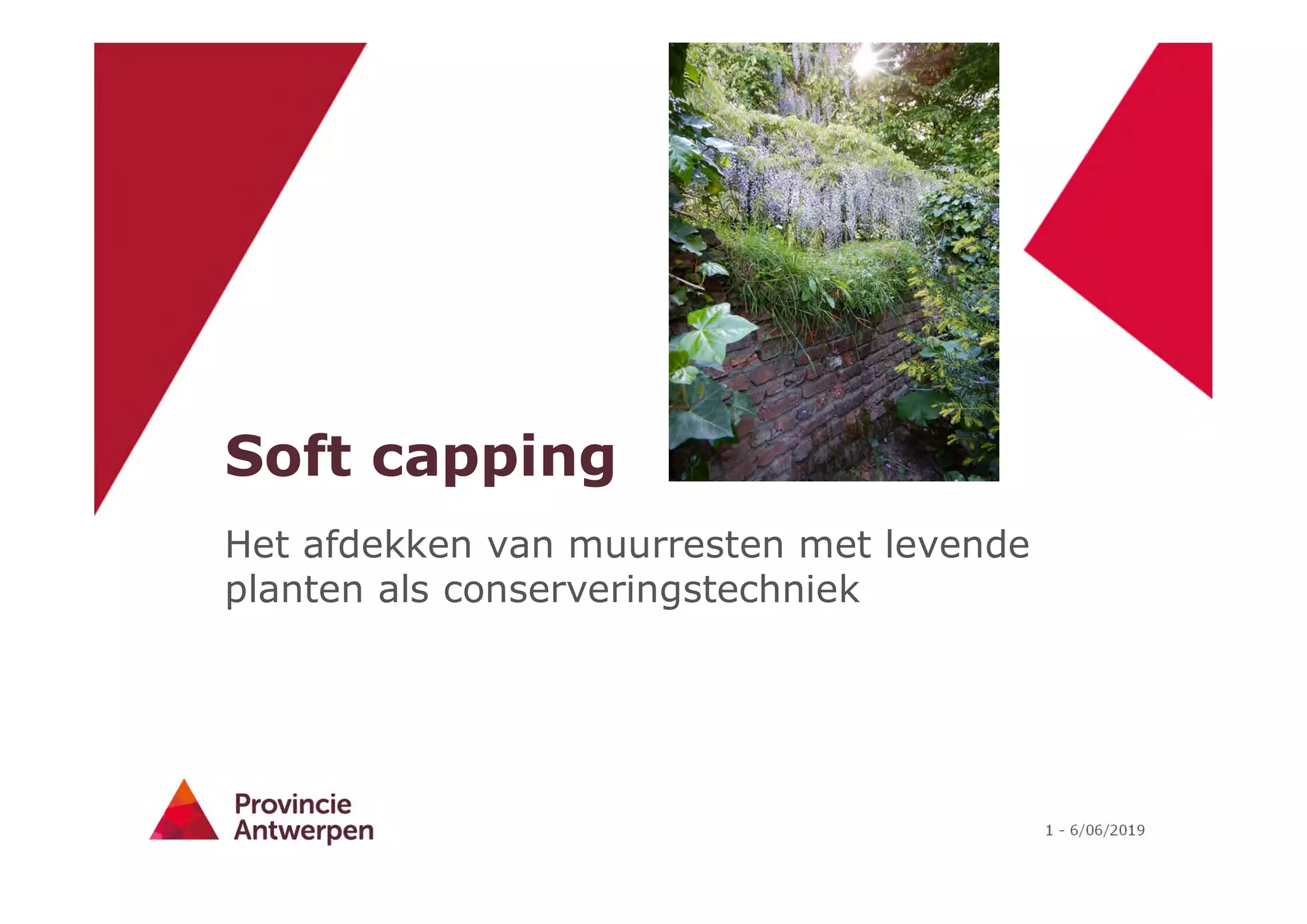Soft capping. Het afdekken van muurresten met levende planten als ...