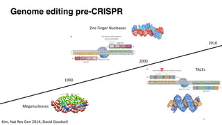 Genome Editing & Gene Therapy by Eric Kelsic | PDF