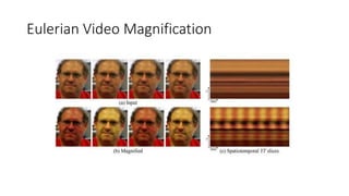 [20190611]Wi.Dosen_Motion_Magnification.pptx