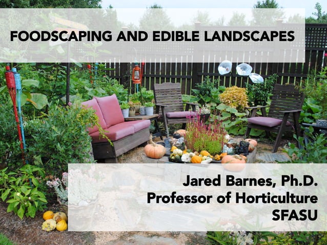 Foodscaping and Edible Landscapes | PDF | Gardening | Home & Garden