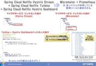 What happens in Spring Cloud Netflix | PPT