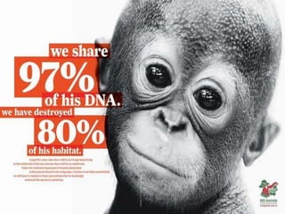 2019 Deforestation facts | PPTX | Environment | Science