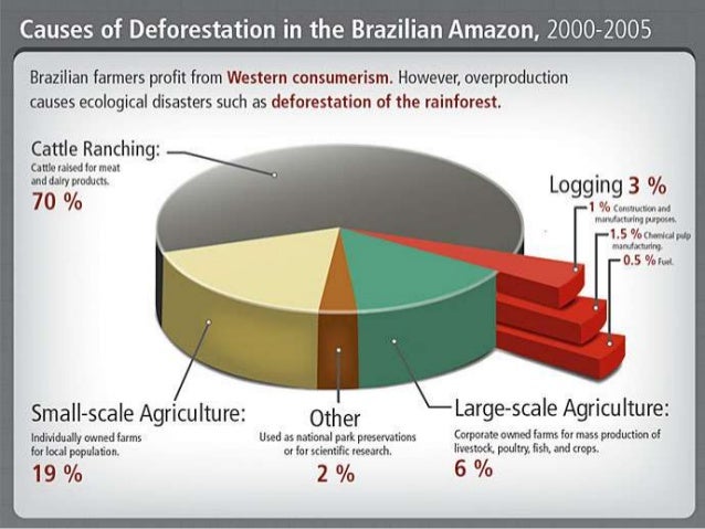 20190726 Deforestation Facts