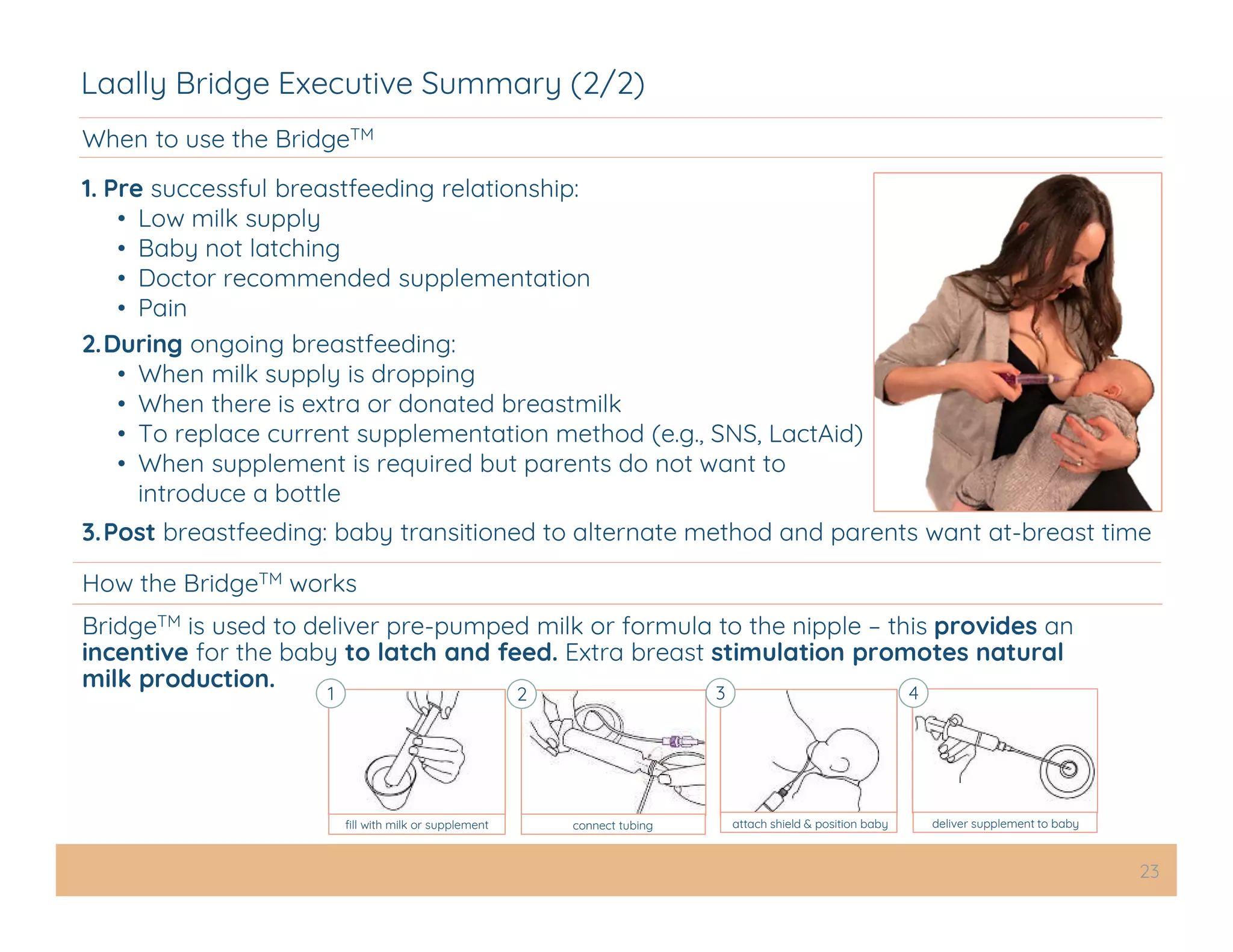 Introduction to the "Bridge" - a new breastfeeding support tool | PPT