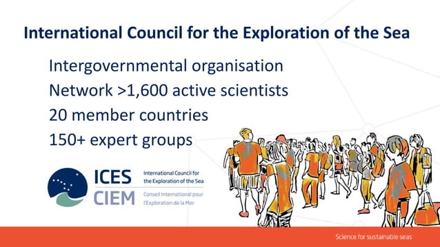 ICES ecoregions explained | PPT
