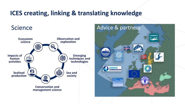 ICES ecoregions explained | PPT
