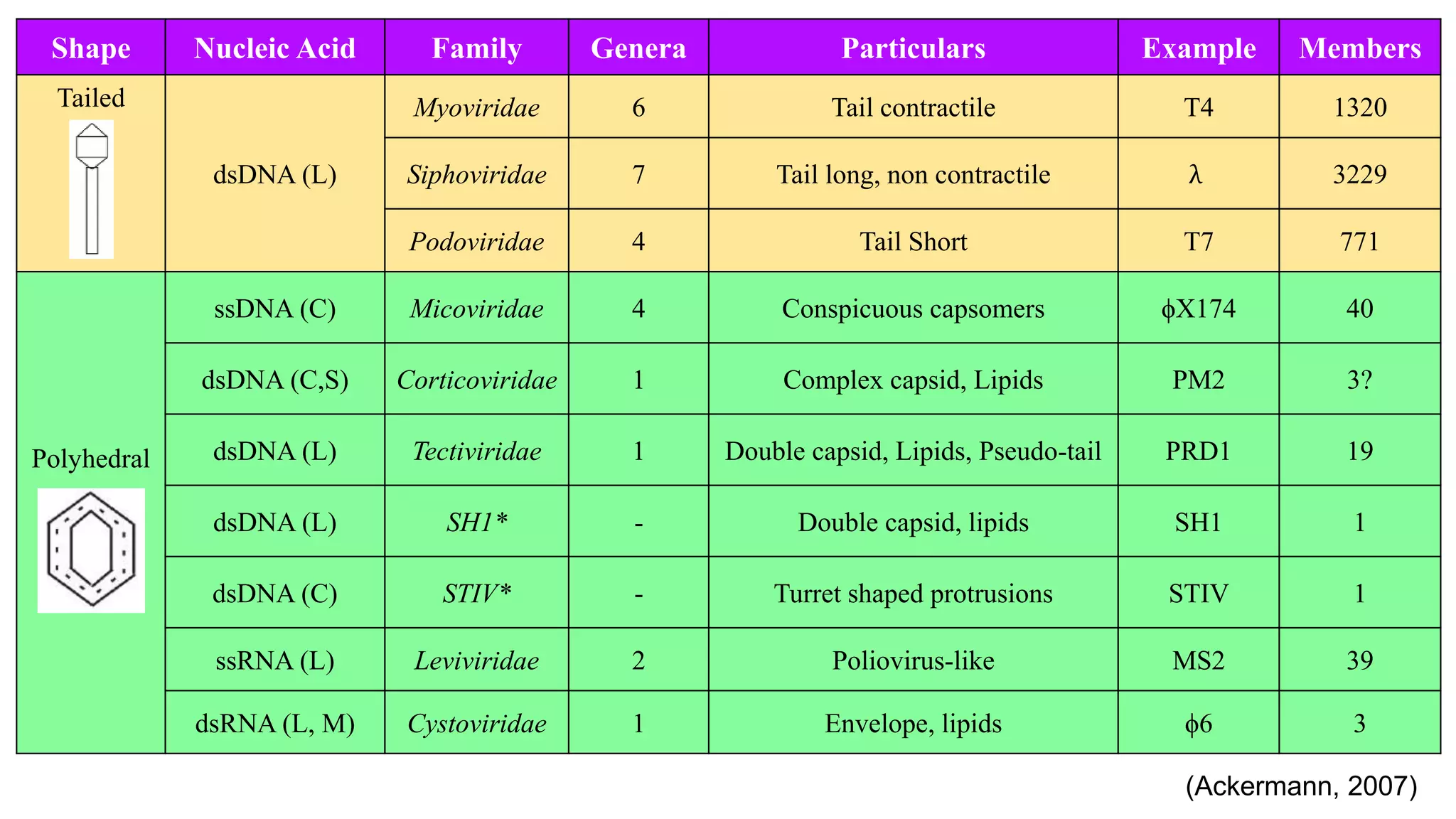 Role of bacteriophages in management of plant diseases | PPTX