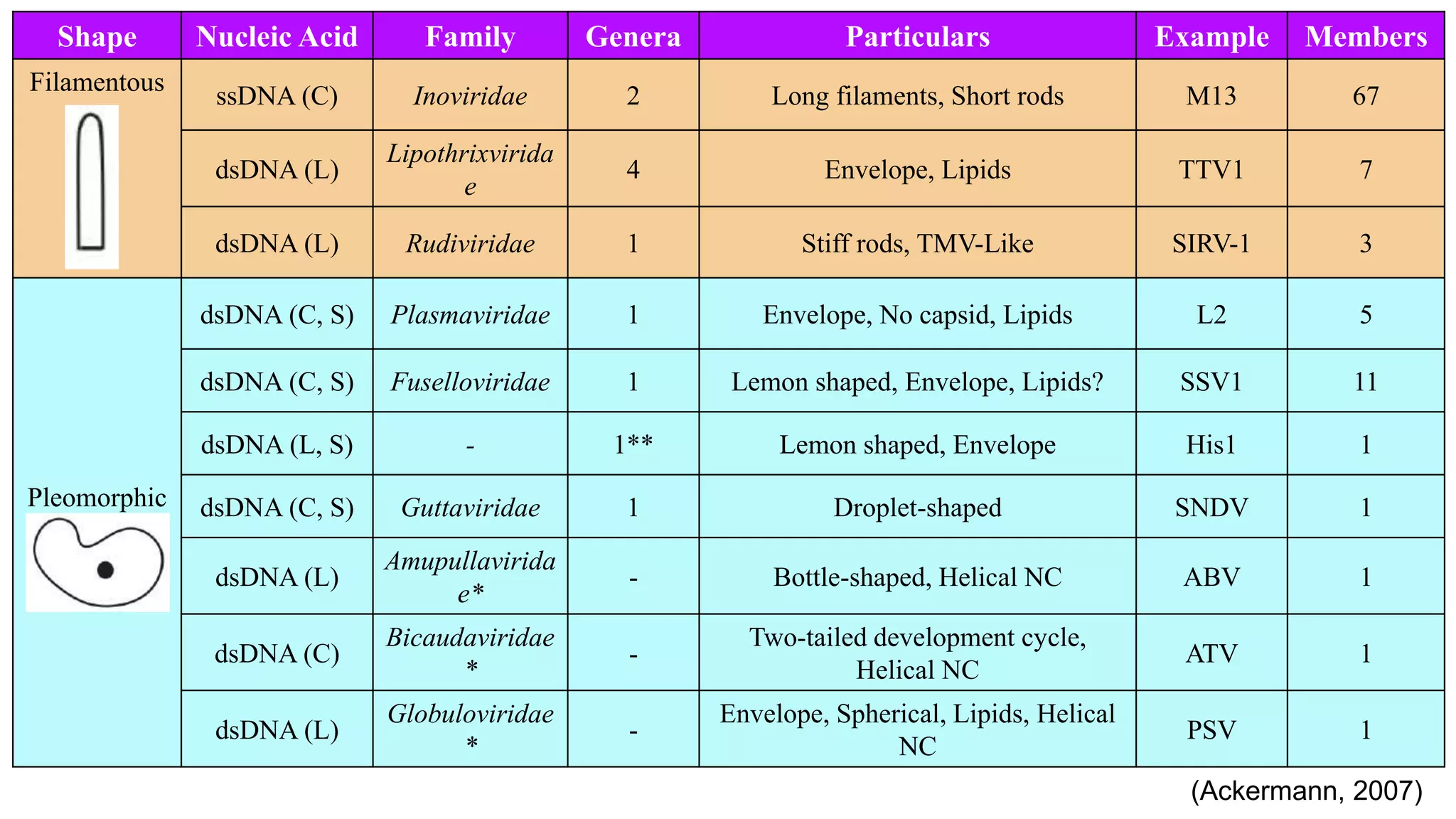 Role of bacteriophages in management of plant diseases | PPTX