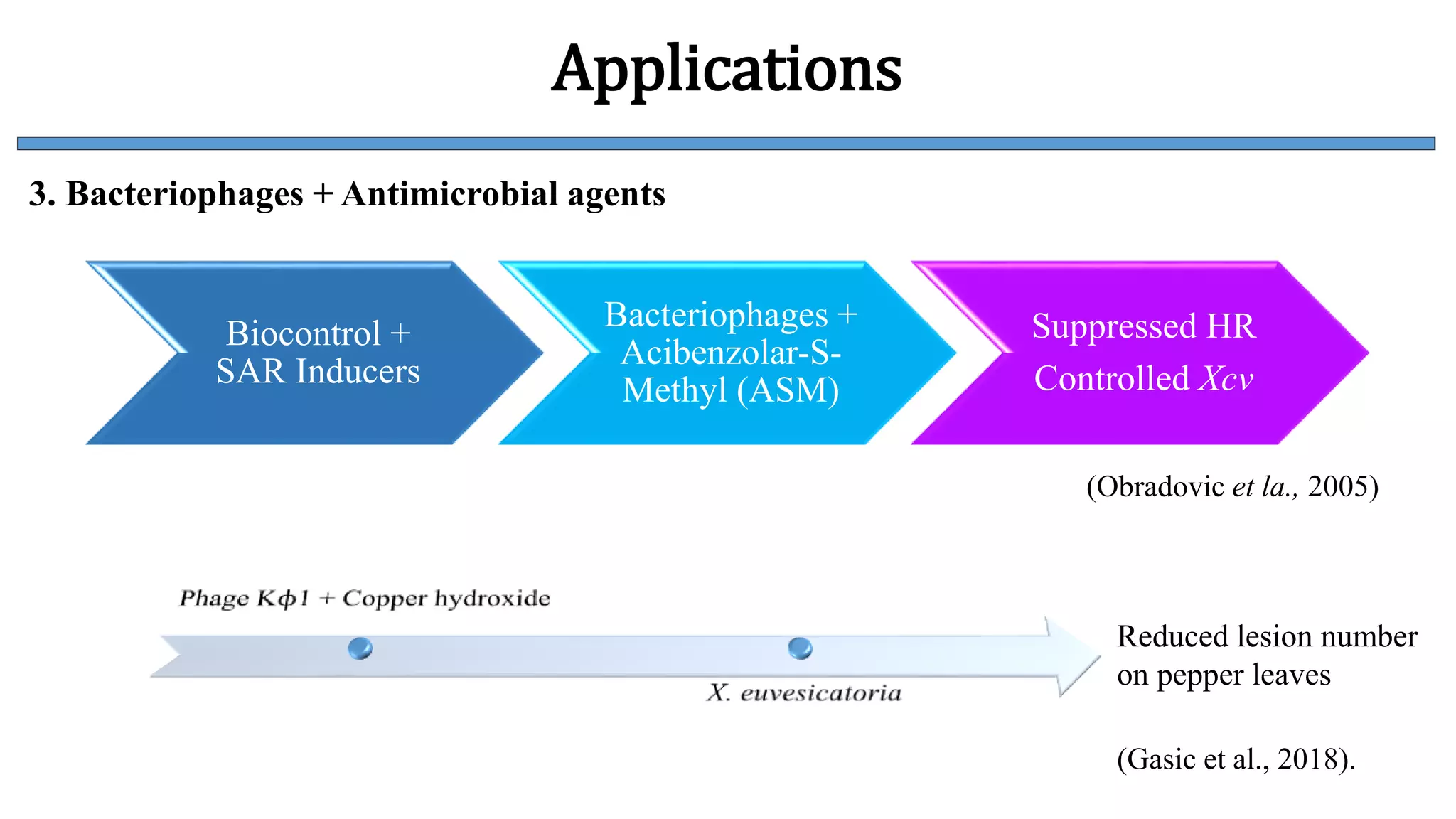 Role of bacteriophages in management of plant diseases | PPTX