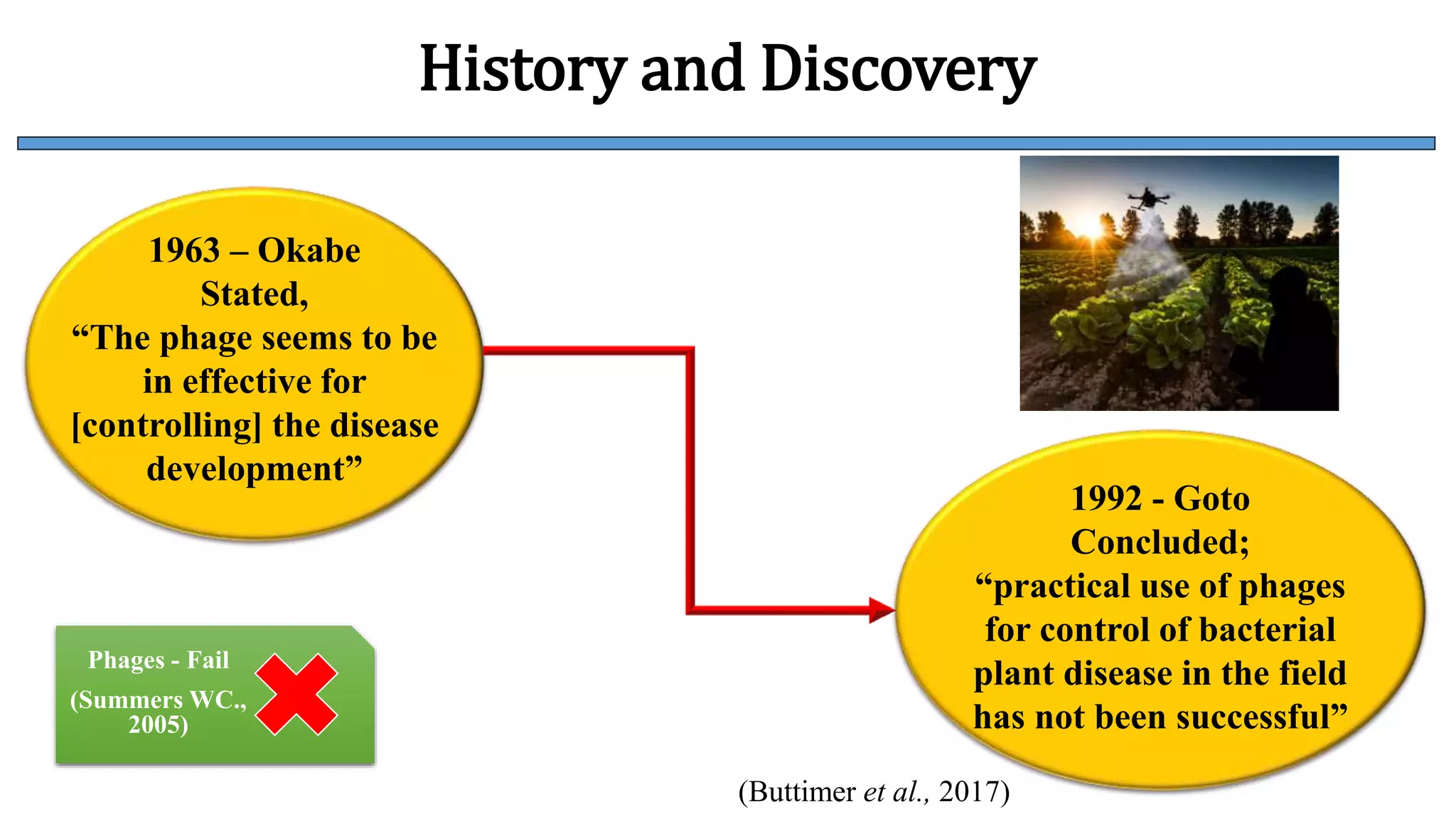Role of bacteriophages in management of plant diseases | PPTX