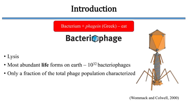 Role of bacteriophages in management of plant diseases | PPTX