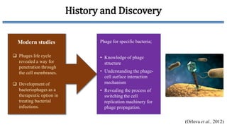 Role of bacteriophages in management of plant diseases | PPTX