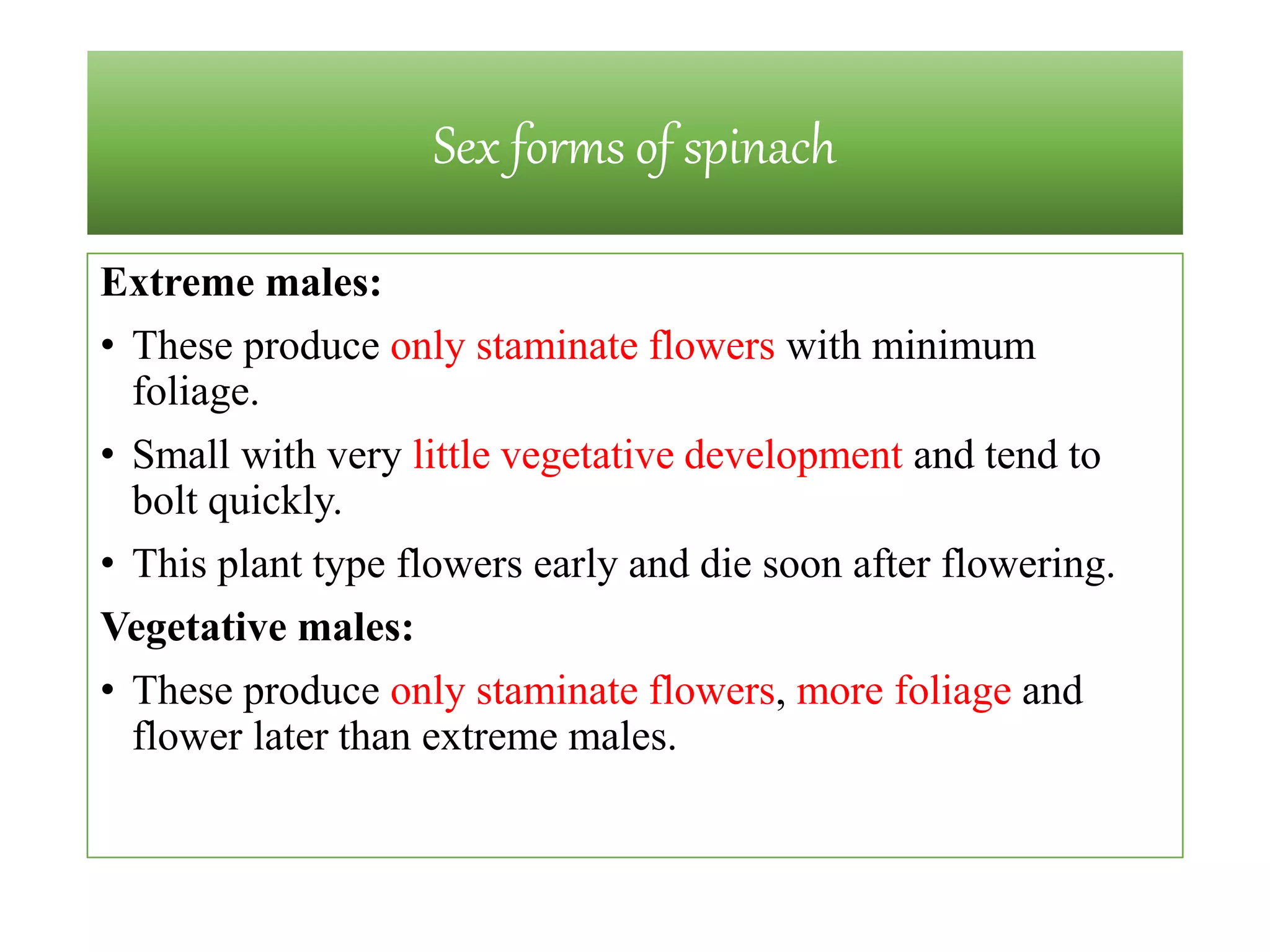spinach production tech | PPTX