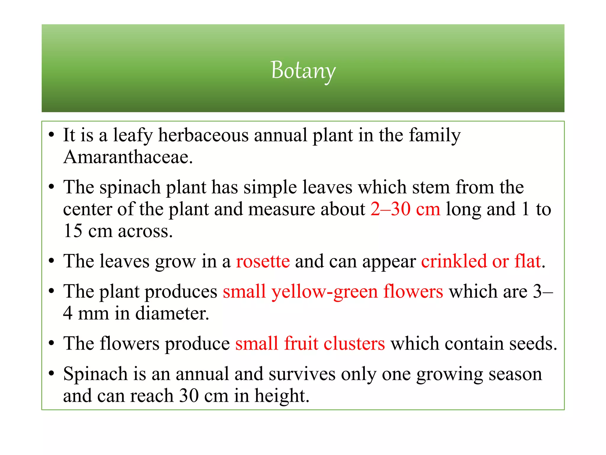 spinach production tech | PPTX