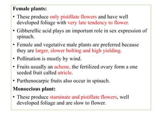 spinach production tech | PPTX