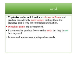 spinach production tech | PPTX
