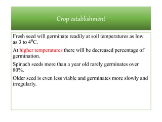 spinach production tech | PPTX