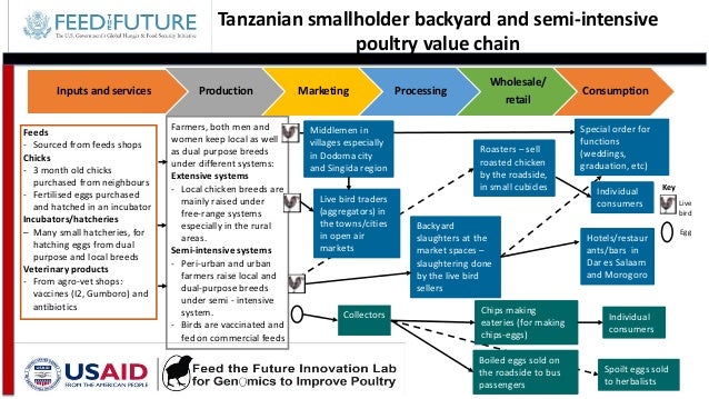 Tanzania and Ghana poultry value chains: A status report