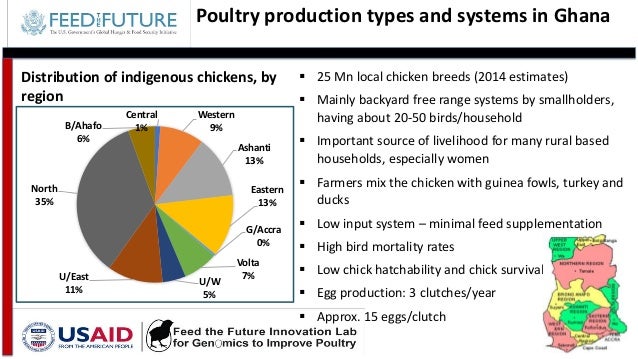 Tanzania And Ghana Poultry Value Chains A Status Report