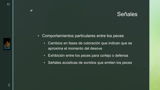 Importancia científica y ecosistémica de las agregaciones de desove | PPTX