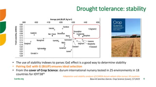 Durum wheat ideotype for the drylands of tomorrow | PDF