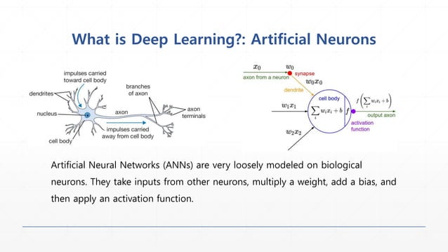 Deep Learning in Bio-Medical Imaging | PPTX