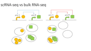 2019bioinformaticsstudyno3 | PPT