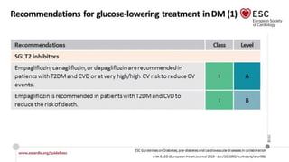 2019 ESC Guidelines on Diabetes and Cardiovascular Disease | PPTX
