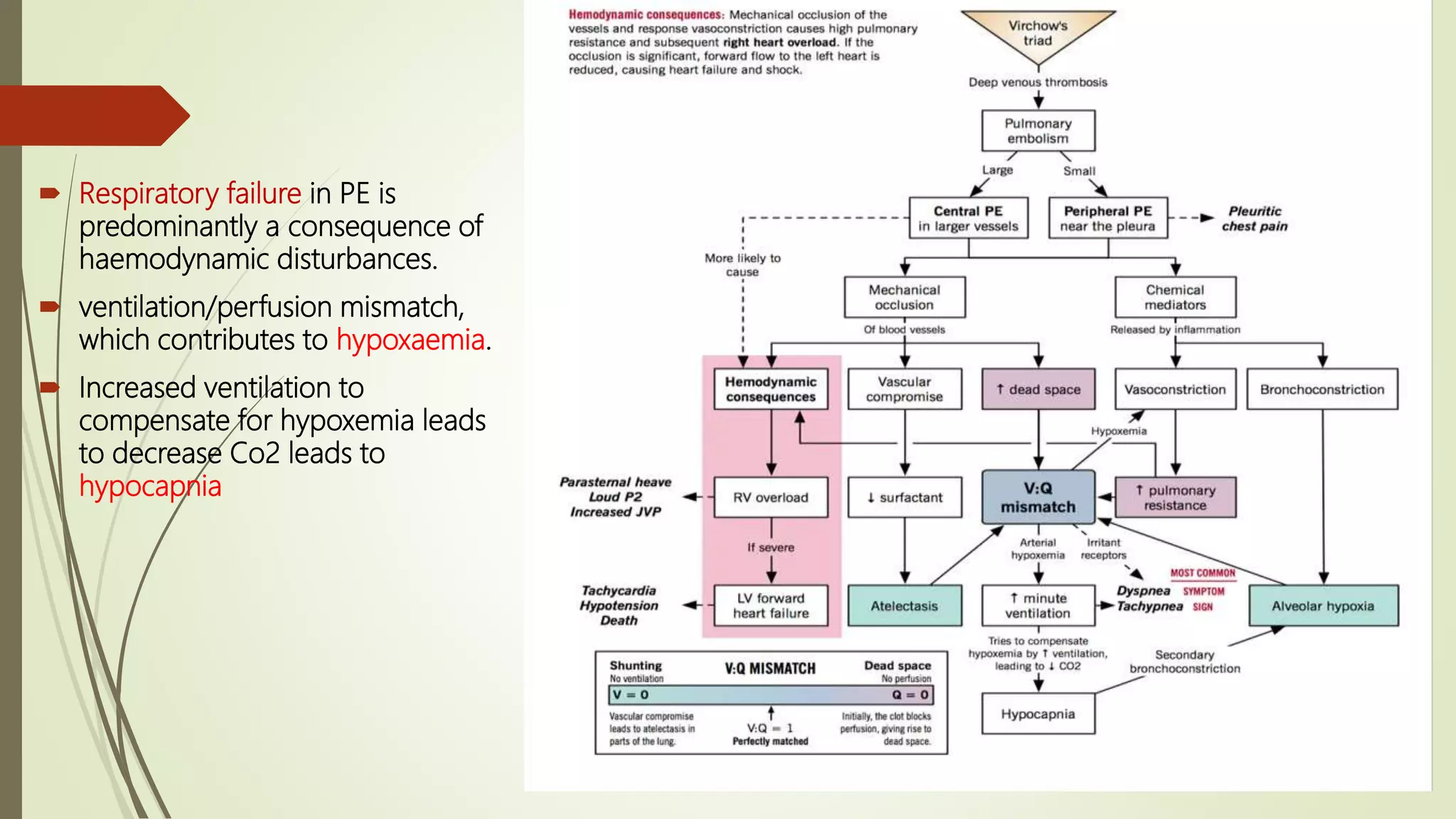 2019 ESC guidelines for pulmonary embolism | PPTX