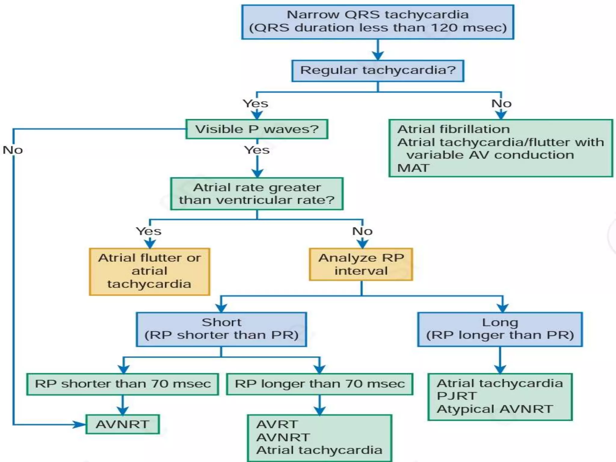 2019 esc guidelines for the management of patients | PPTX