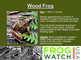 2019 Frogs and Toads of Montgomery County, MD | PPT