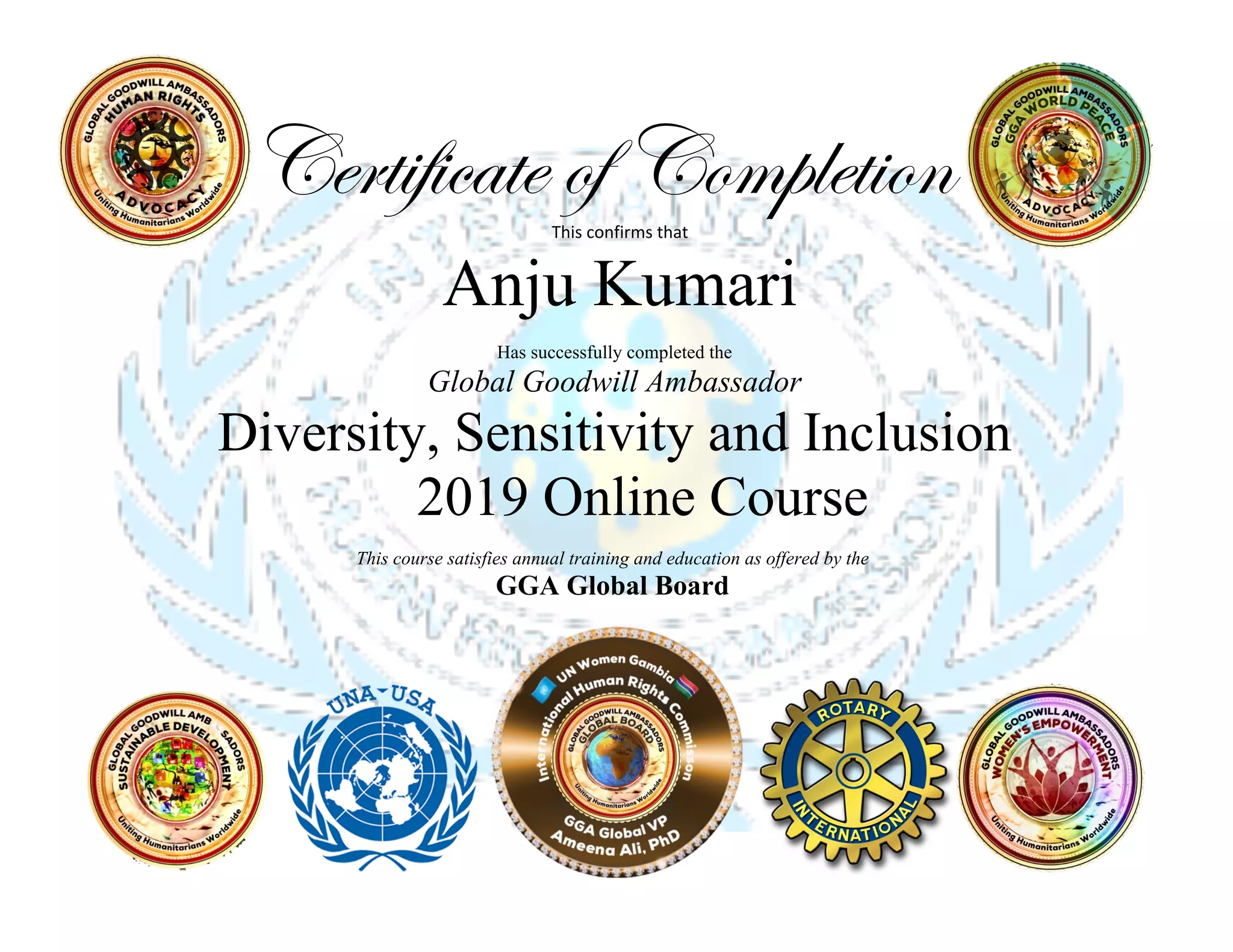 Certified in Diversity, Sensitivity and Inclusion | PDF