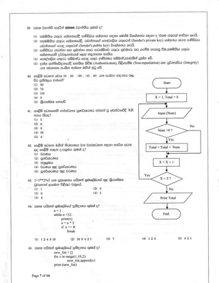 2019 grade13 AL ICT paper | PDF