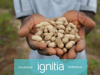 2019 Ignitia Company Profile | PDF