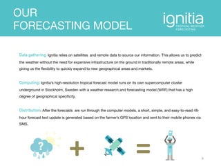 2019 Ignitia Company Profile | PDF