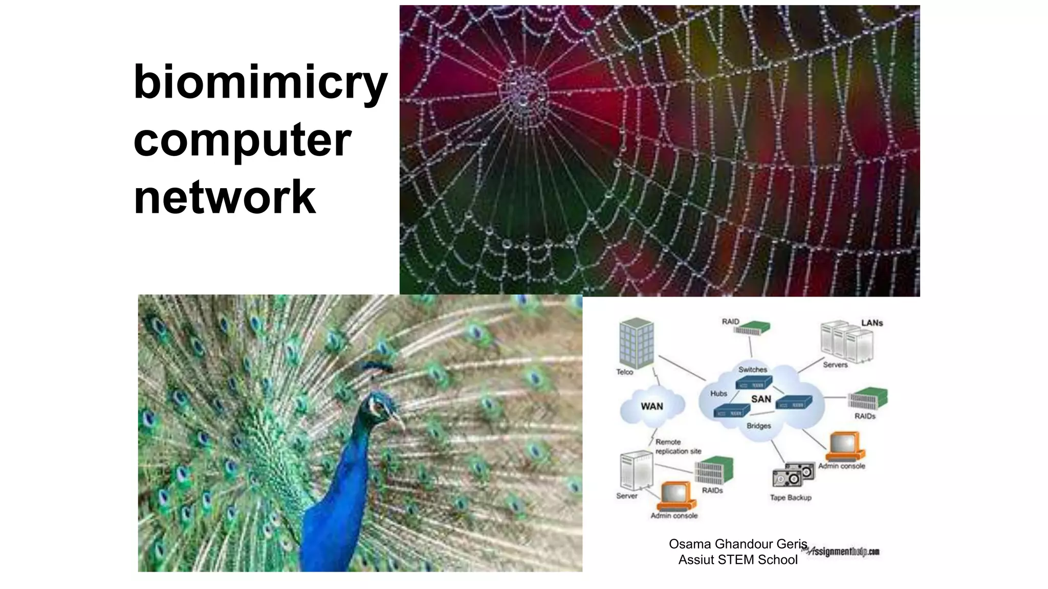 2019 internal and external components of computer networks | PPT