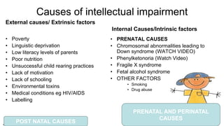 2019 intrinsic barriers intellectual impairments | PDF