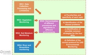 DRONES FOR ENVIRONMENTAL MONITORING | PPT